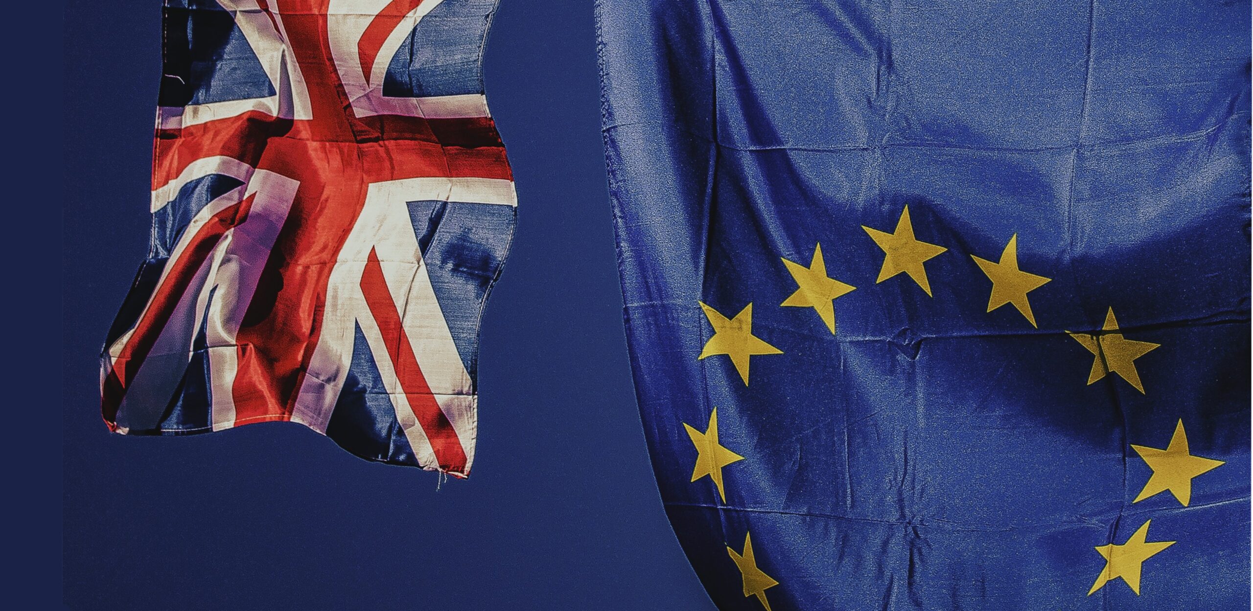 European Movement: Vereinigtes Königreich zurück in die EU